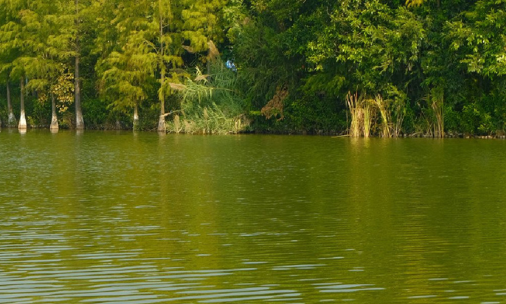 Les 5 plus beaux lacs et plans d'eau en Corrèze